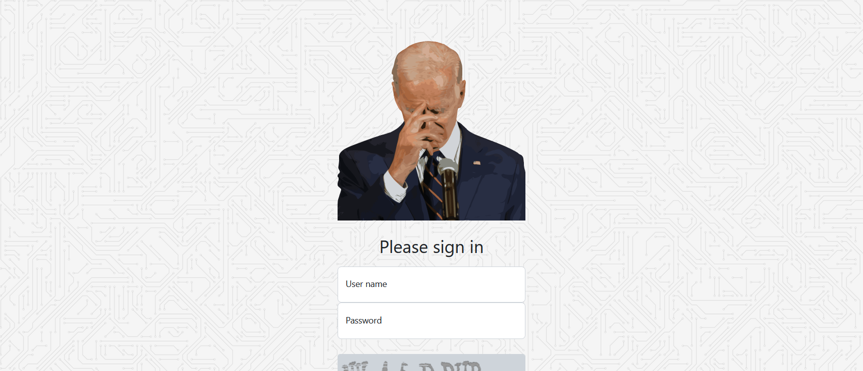 Biden Cash - torlinks